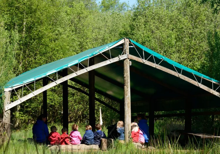 Forest School and Farm Trips | Great Wood Farm Early Years Centre